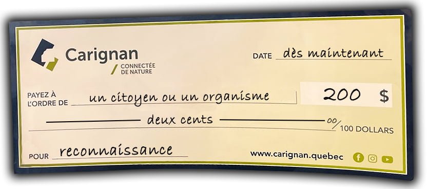 Plusieurs aides financières accordées par la Ville – Ville de Carignan