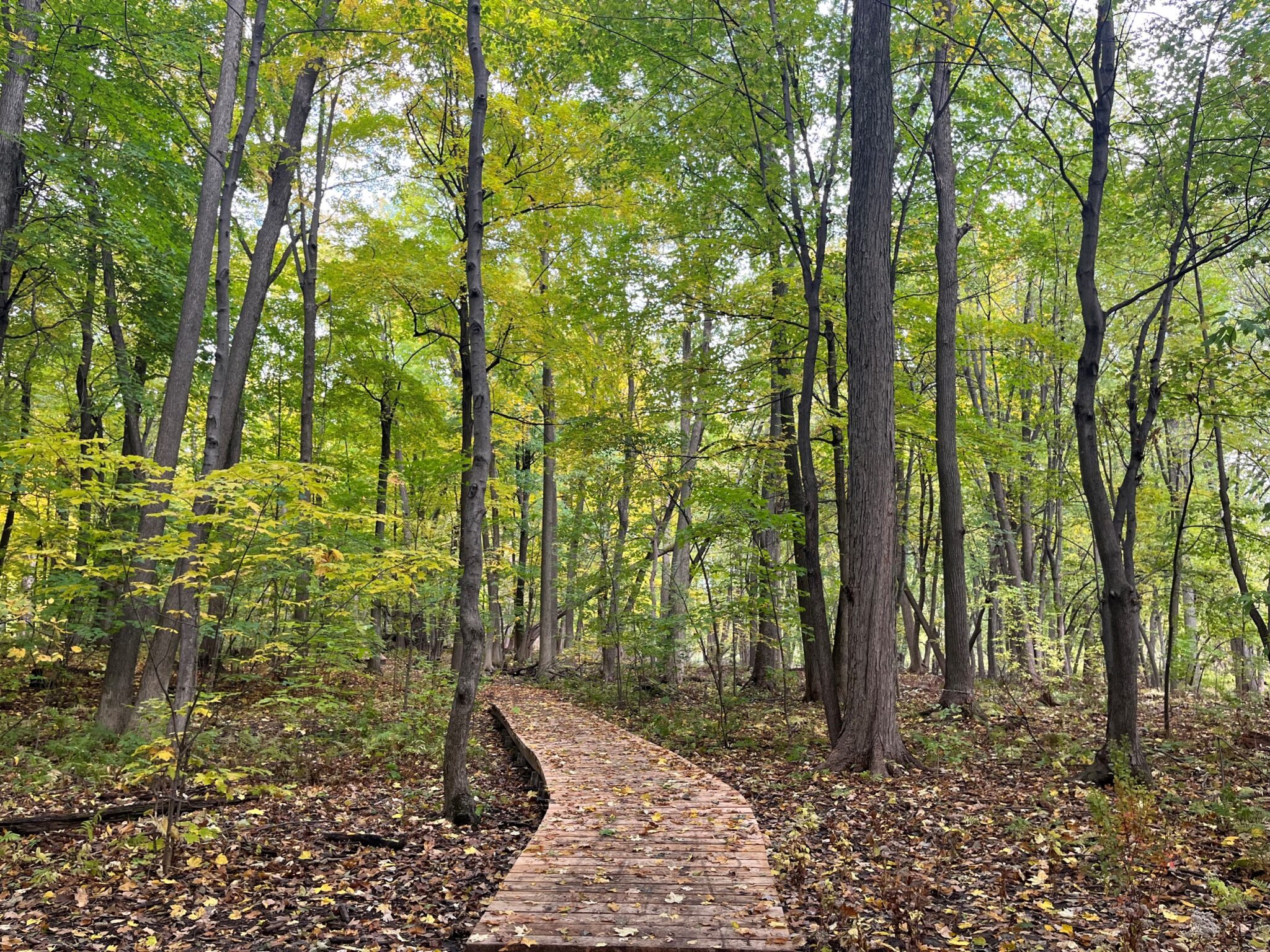 L’inauguration du sentier boisé de l’île aux Lièvres offre un nouveau paradis naturel à Carignan ...